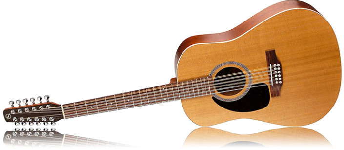 Left Handed 12 String Guitar Beginner Buyer Guide