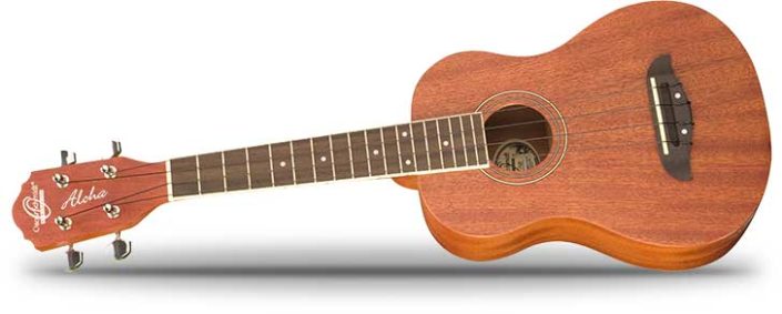 Beginner Left Handed Ukulele Guide (2022 Update)