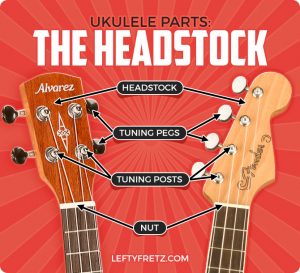 Parts of the Ukulele (Explained With Helpful Diagrams)