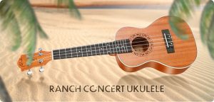 Left Handed Ukulele Buyer Guide (7 Best Choices 2025)