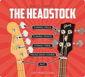 Parts Of The Bass Guitar (Anatomy Explained With Diagrams)