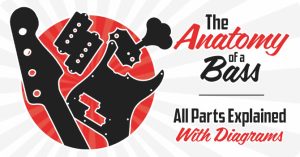 Parts Of The Bass Guitar (Anatomy Explained With Diagrams)
